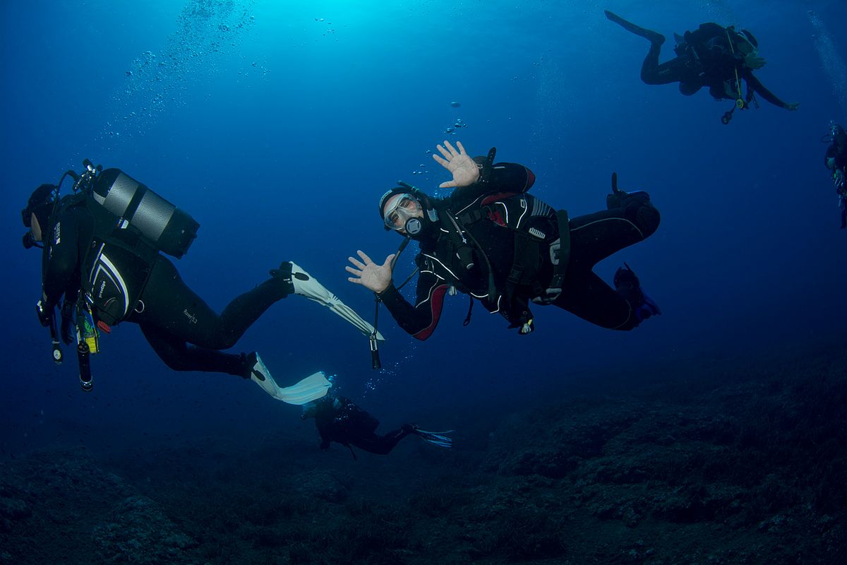 Il decalogo del sub. articolo su Scubaportal, portale subacqueo ...