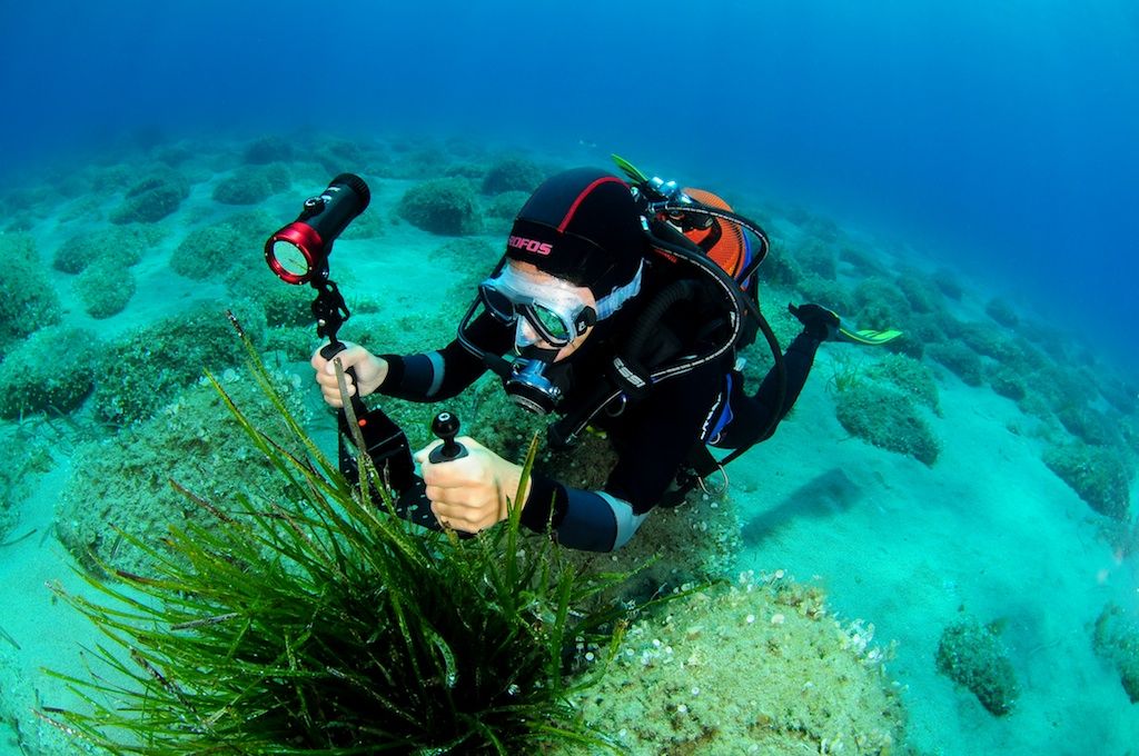 Corso di videosub - La Go Pro parte III articolo su Scubaportal ...