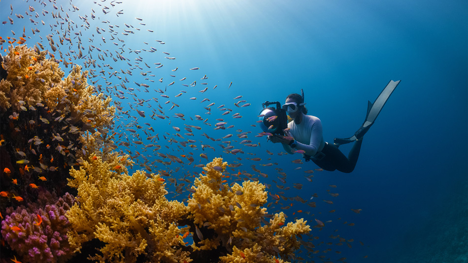 Fotografia subacquea, da Terra o in Crociera
