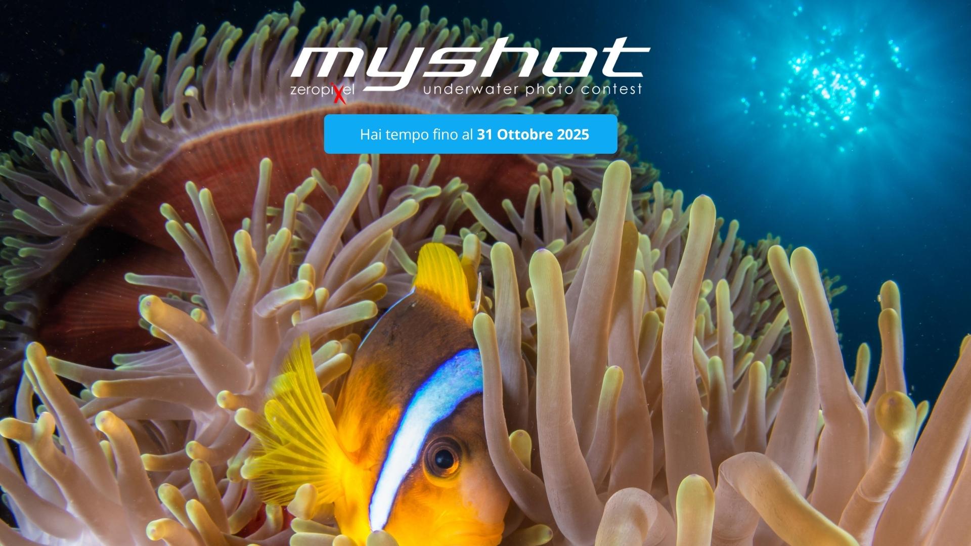 MyShot 2025 | Underwater photo contest