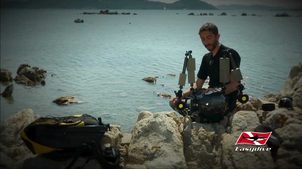 Tecnica di videoripresa subacquea con le reflex - II articolo su ...